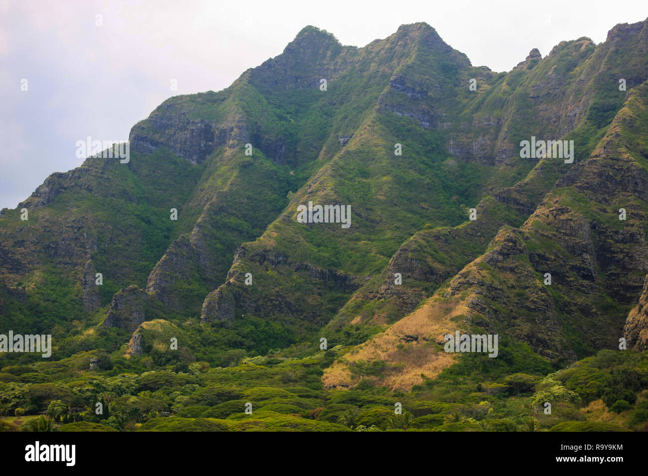 Steep mountain of Koolau Mountain Range, Oahu, Hawaii Stock Photo - Alamy