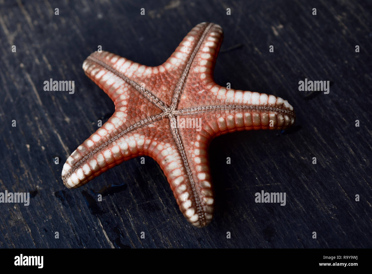 The beauty of Morong, Bataan, Philippines Stock Photo - Alamy