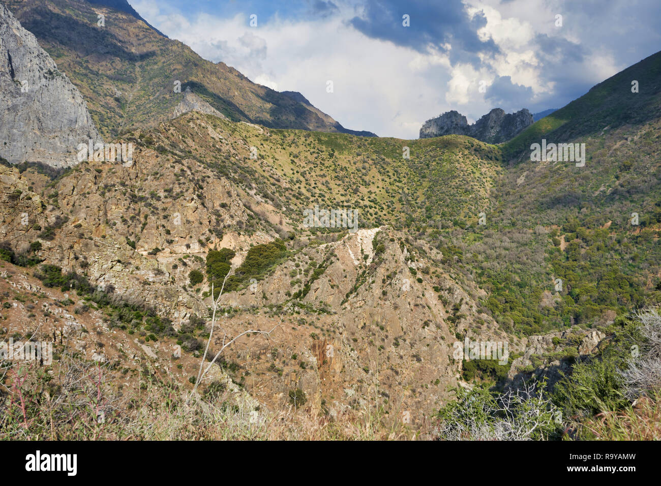 Mountains in Vegetation, Sequoia National Park, USA Stock Photo - Alamy