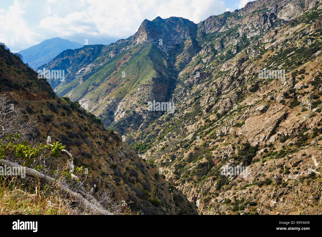 View of the mountainside from above, Sequoia National Park, USA Stock ...