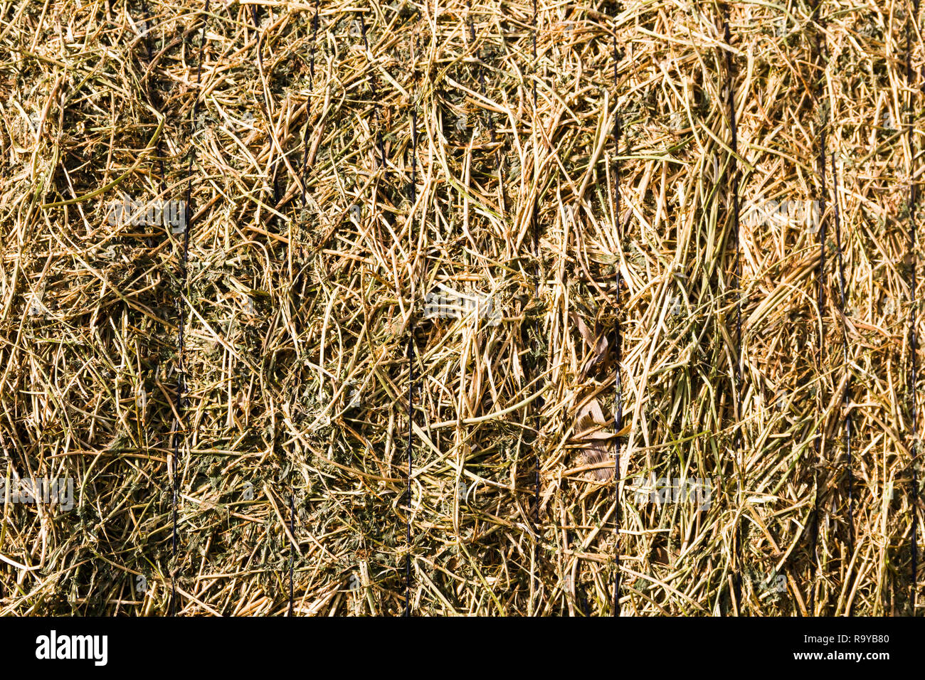rustic background with alfalfa bale texture in the field Stock Photo ...