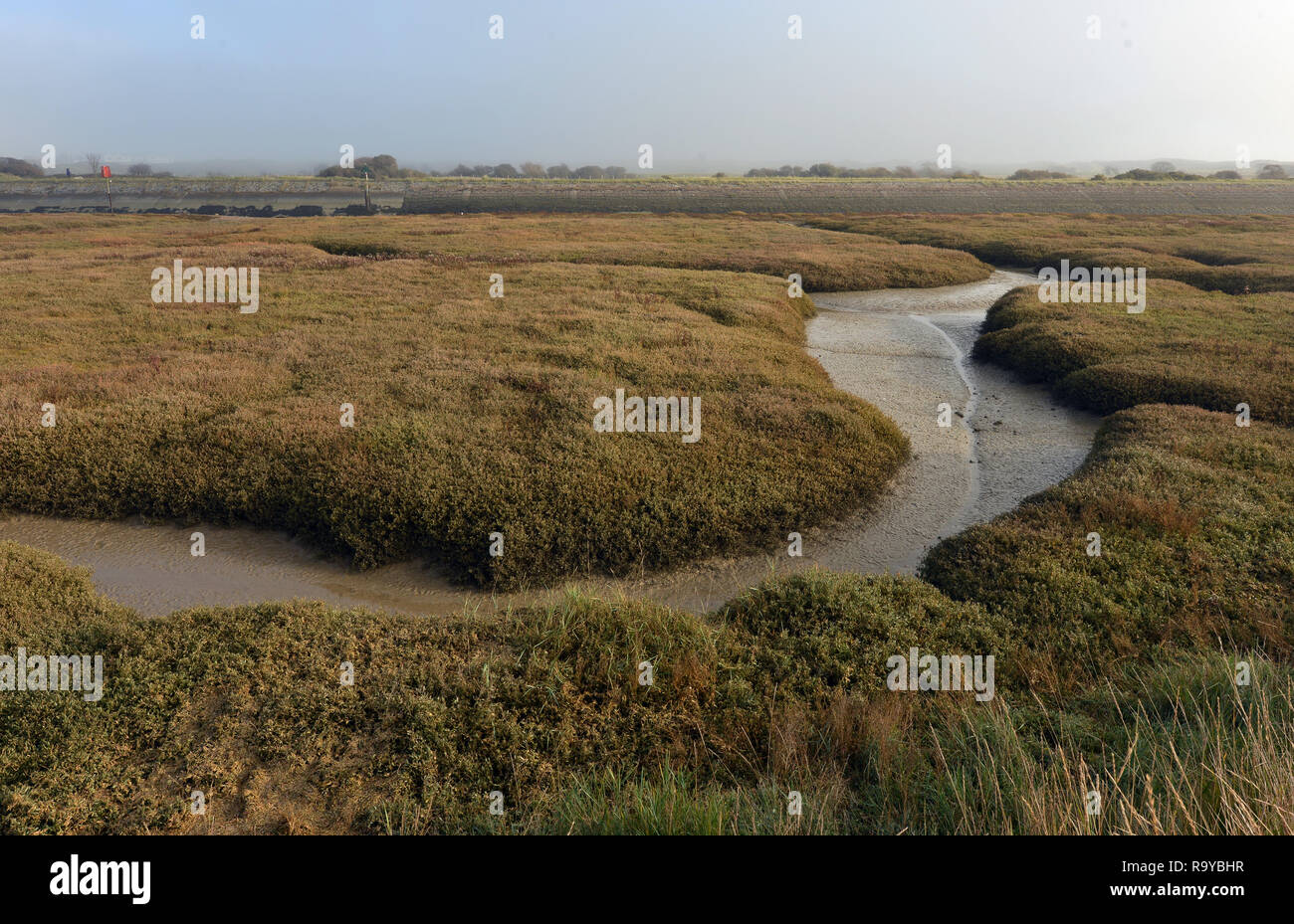 Rye harbour nature reserve hi-res stock photography and images - Alamy