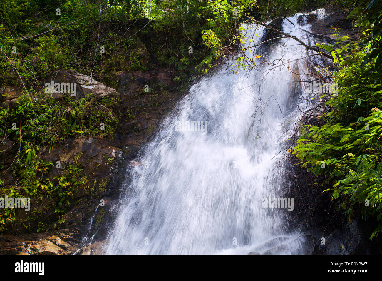 Tropical waterfall in the forest,Ton Chong Fa in khao lak Phangnga ...
