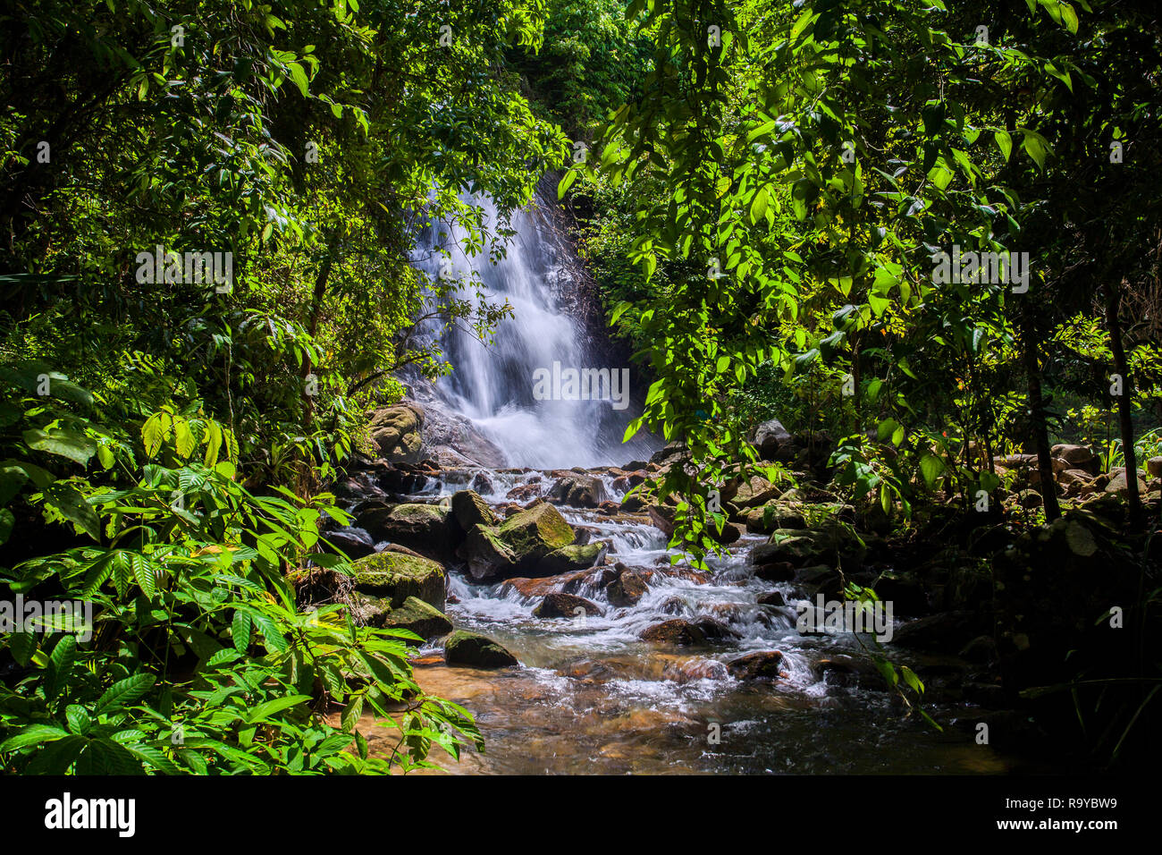 Tropical waterfall in the forest,Ton Chong Fa in khao lak Phangnga ...