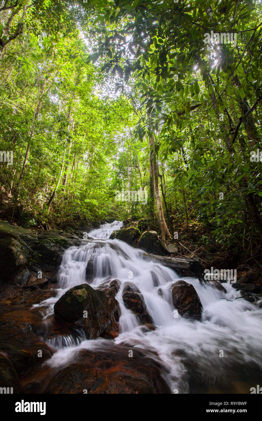 Tropical waterfall in the forest,Ton Chong Fa in khao lak Phangnga ...