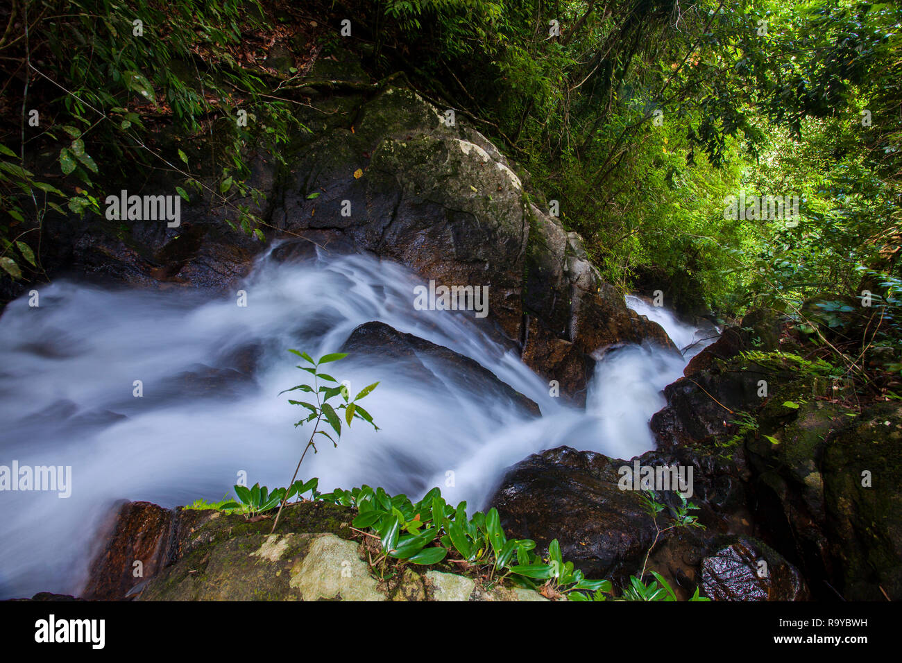 Tropical waterfall in the forest,Ton Chong Fa in khao lak Phangnga ...