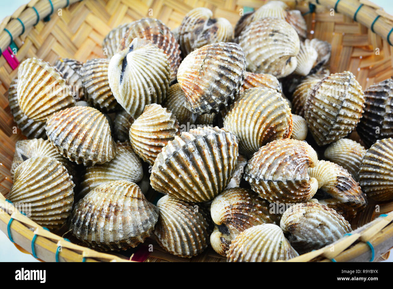 close up fresh cockles in the basket isolated on white background Stock ...