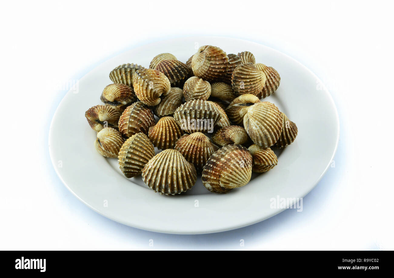 Cockles on plate hi-res stock photography and images - Alamy