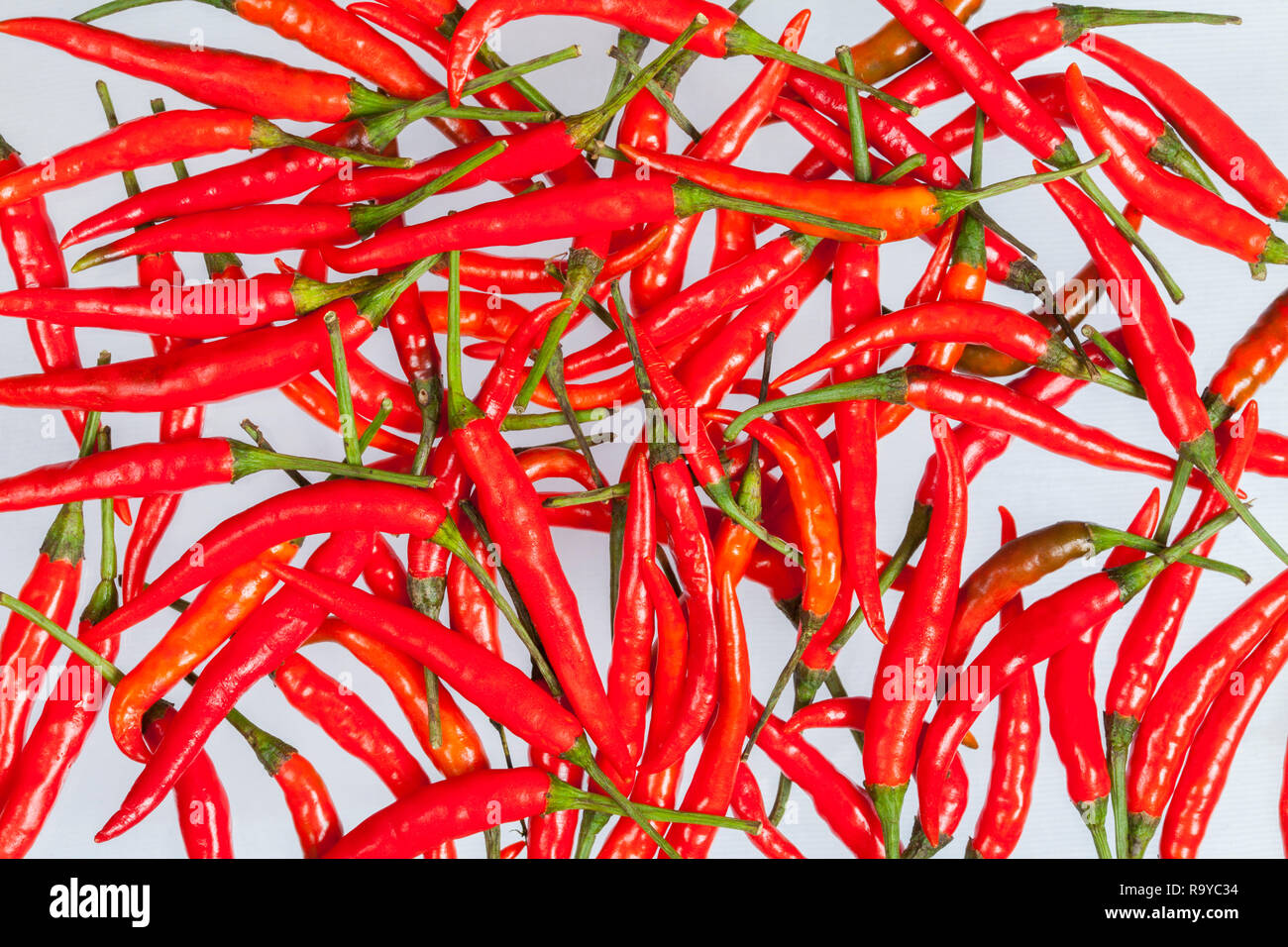 Red chilli an isolated on white background Stock Photo - Alamy
