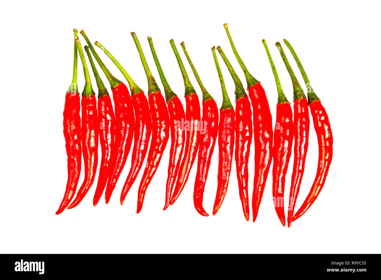 Red chilli an isolated on white background Stock Photo - Alamy