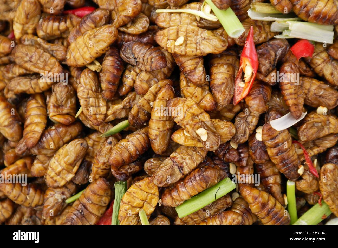 Fried silkworms, Cambodia Stock Photo - Alamy