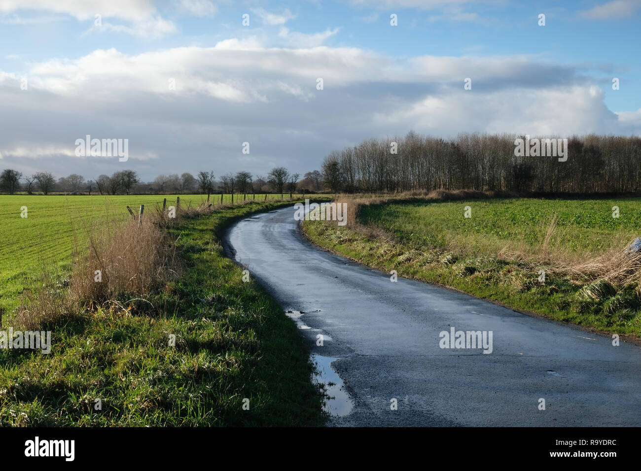 minor road through English countryside Stock Photo - Alamy