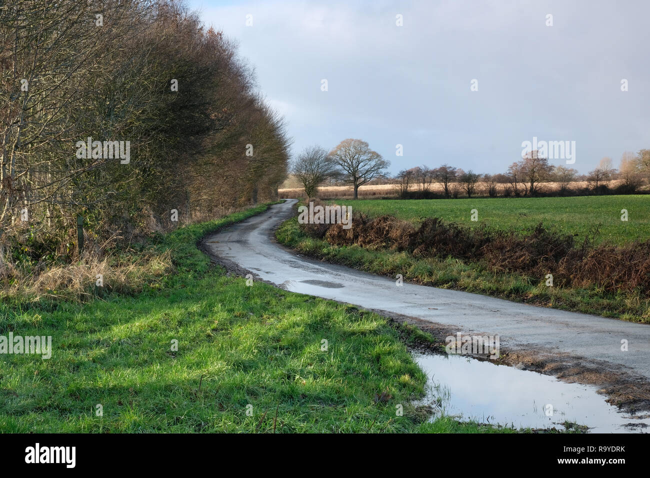 minor road through English countryside Stock Photo - Alamy