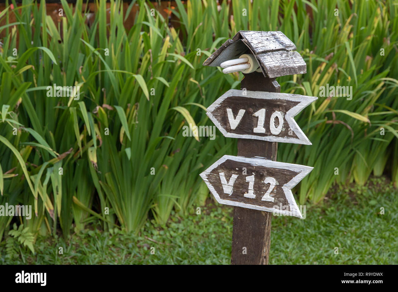 Room number sign in the resort are made from old wood board on green ...