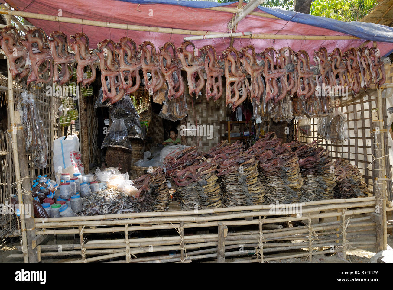 stall with dried fish, fishing village in the valley near KYAIKHTIYO ...