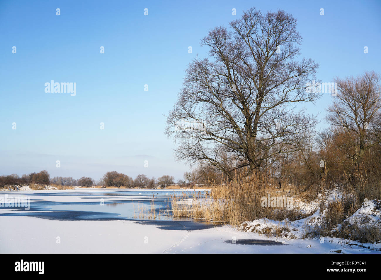 The river Ehle near Biederitz in Germany Stock Photo - Alamy
