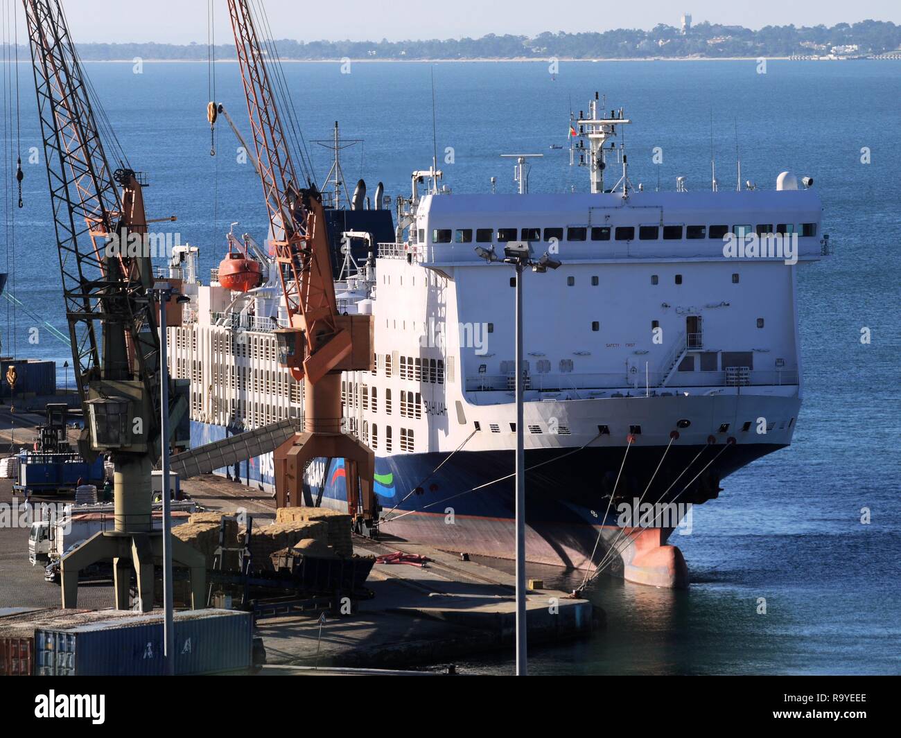 Livestock transport boat hi-res stock photography and images - Alamy
