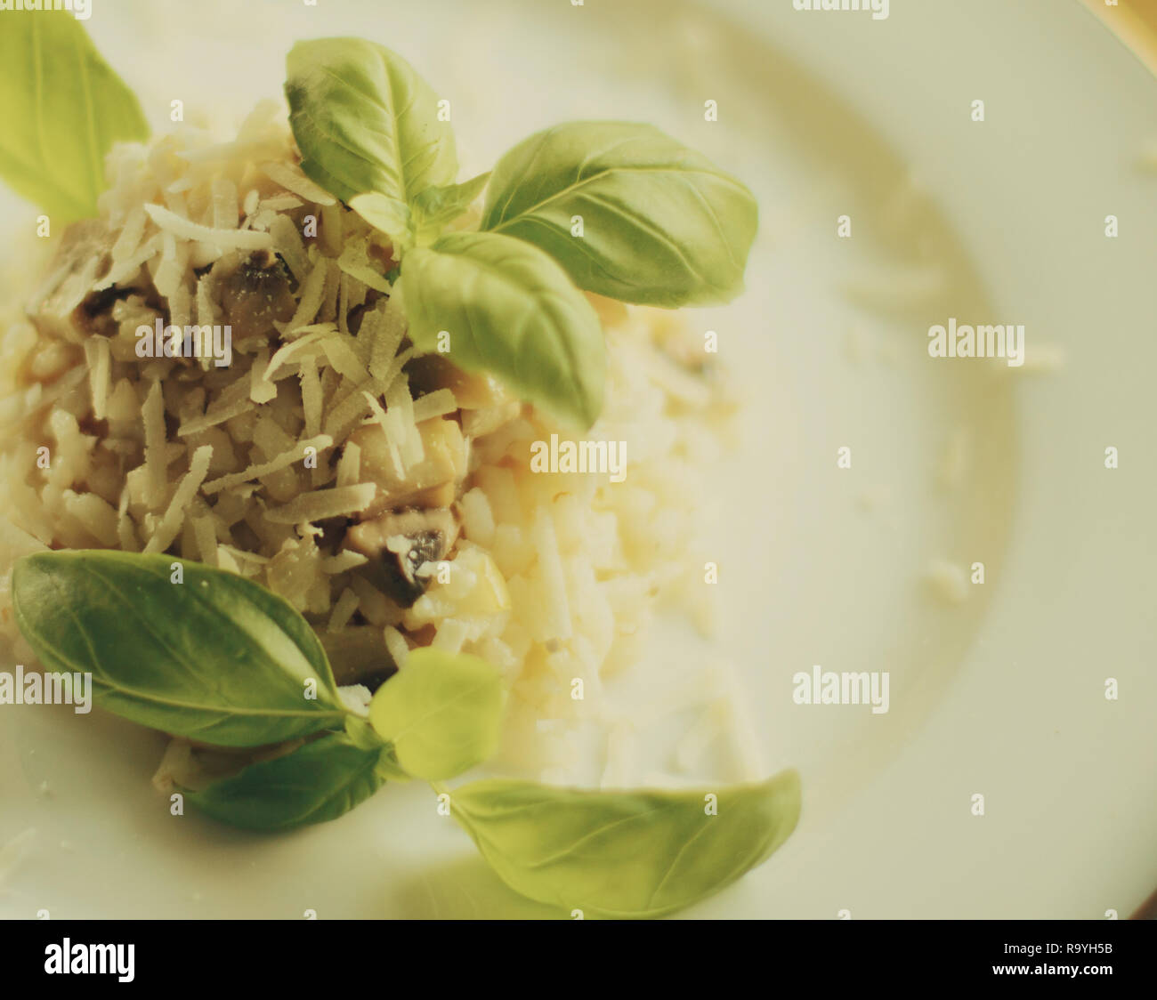 european and mediterranean cuisine styled concept - mushroom risotto ...