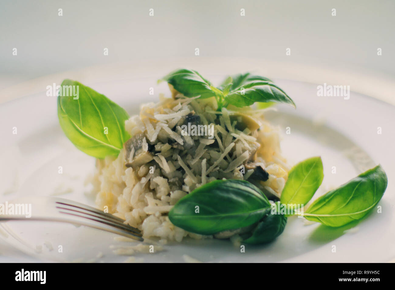 european and mediterranean cuisine styled concept - mushroom risotto ...