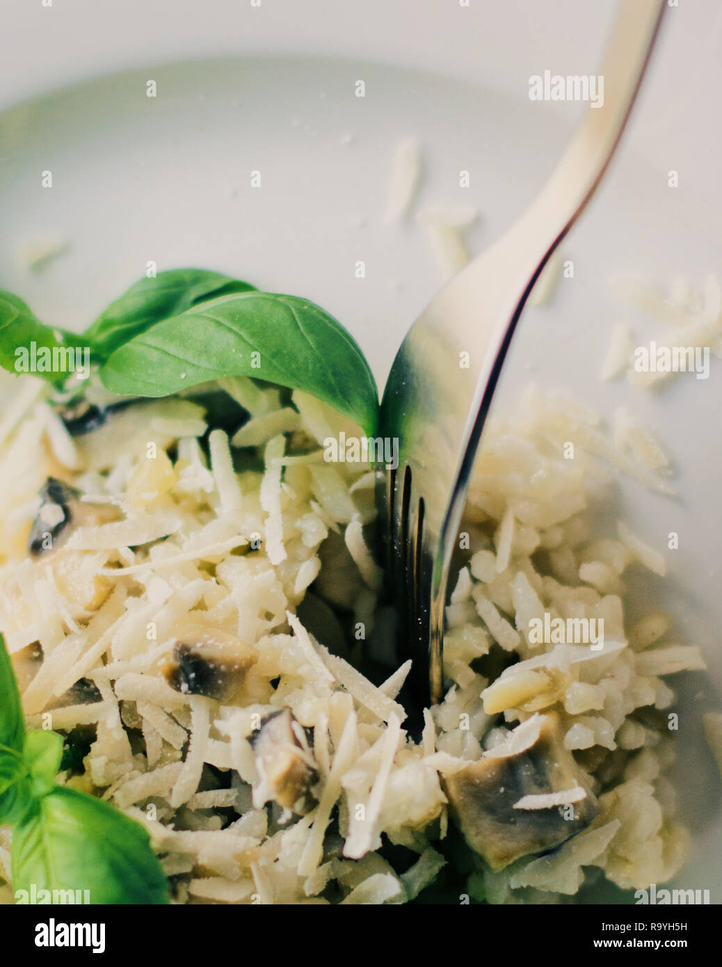 european and mediterranean cuisine styled concept - mushroom risotto ...