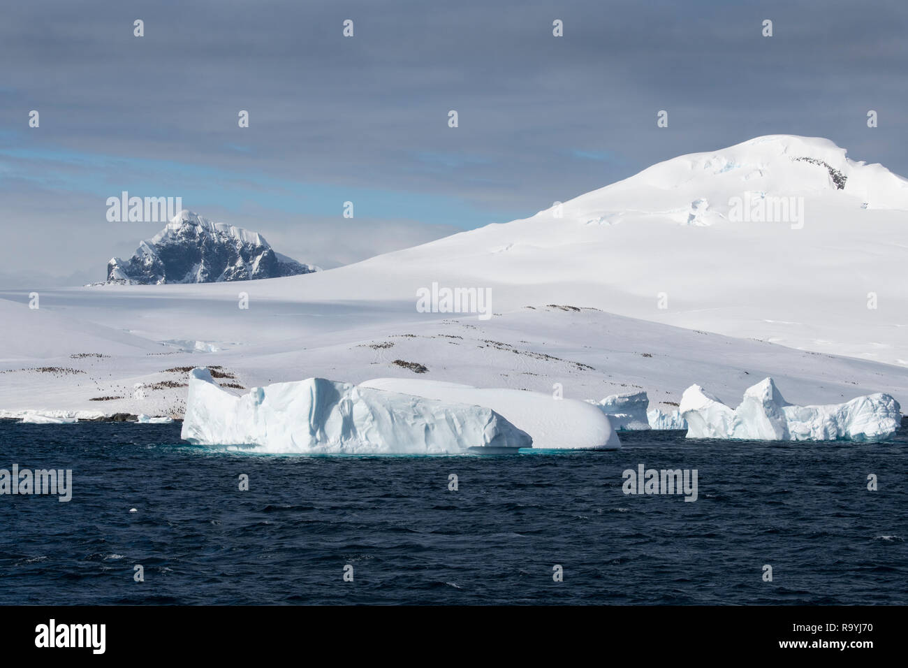 Antarctica, Gerlache Strait, Palmer Archipelago, Wiencke Island, Damoy ...