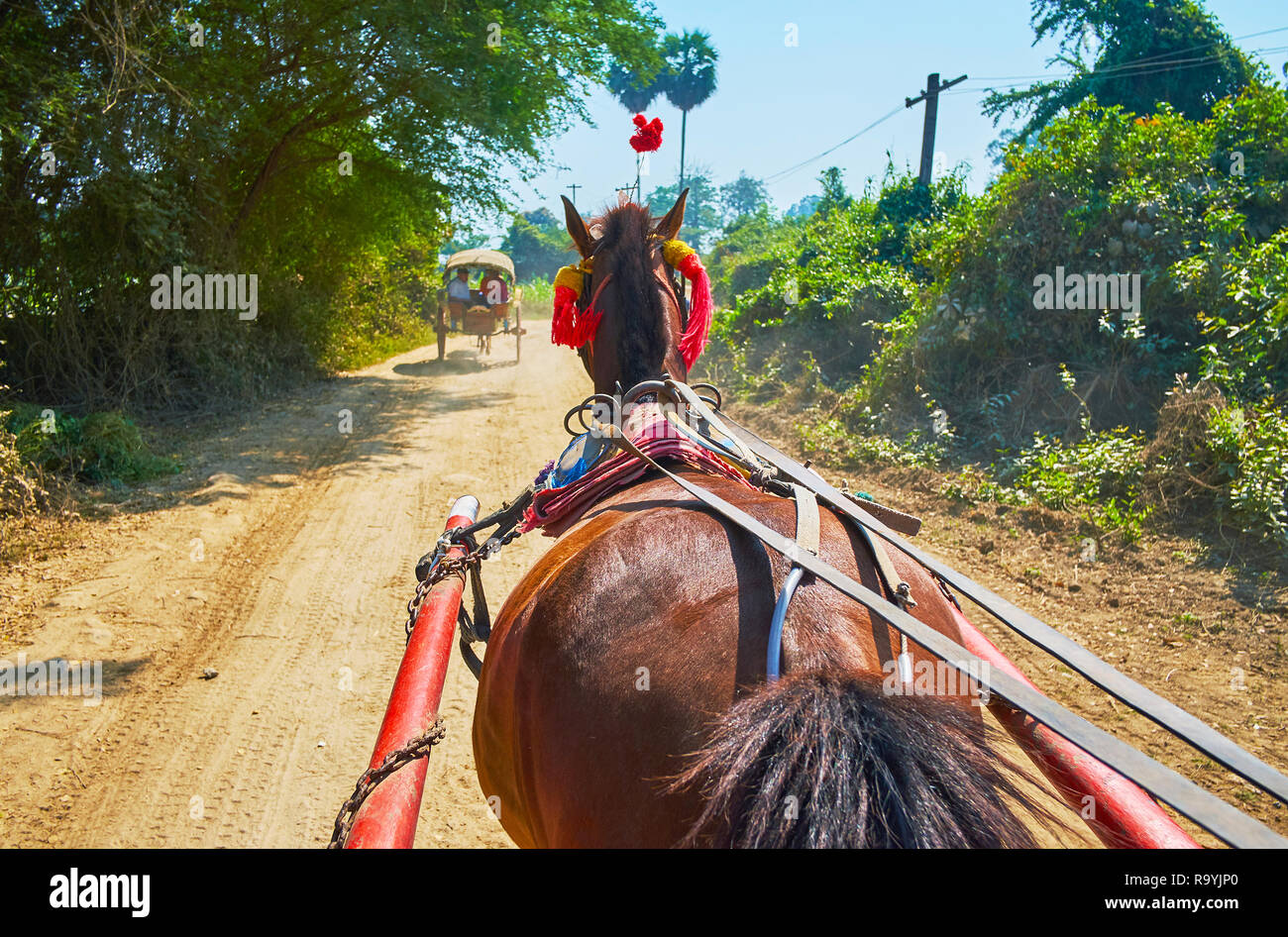 Enjoy the fast ride in horse-drawn cart along the countryside road of ...