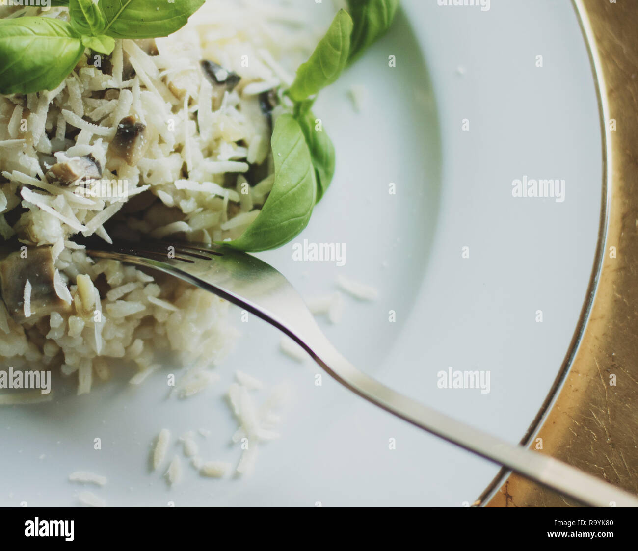 european and mediterranean cuisine styled concept - mushroom risotto ...