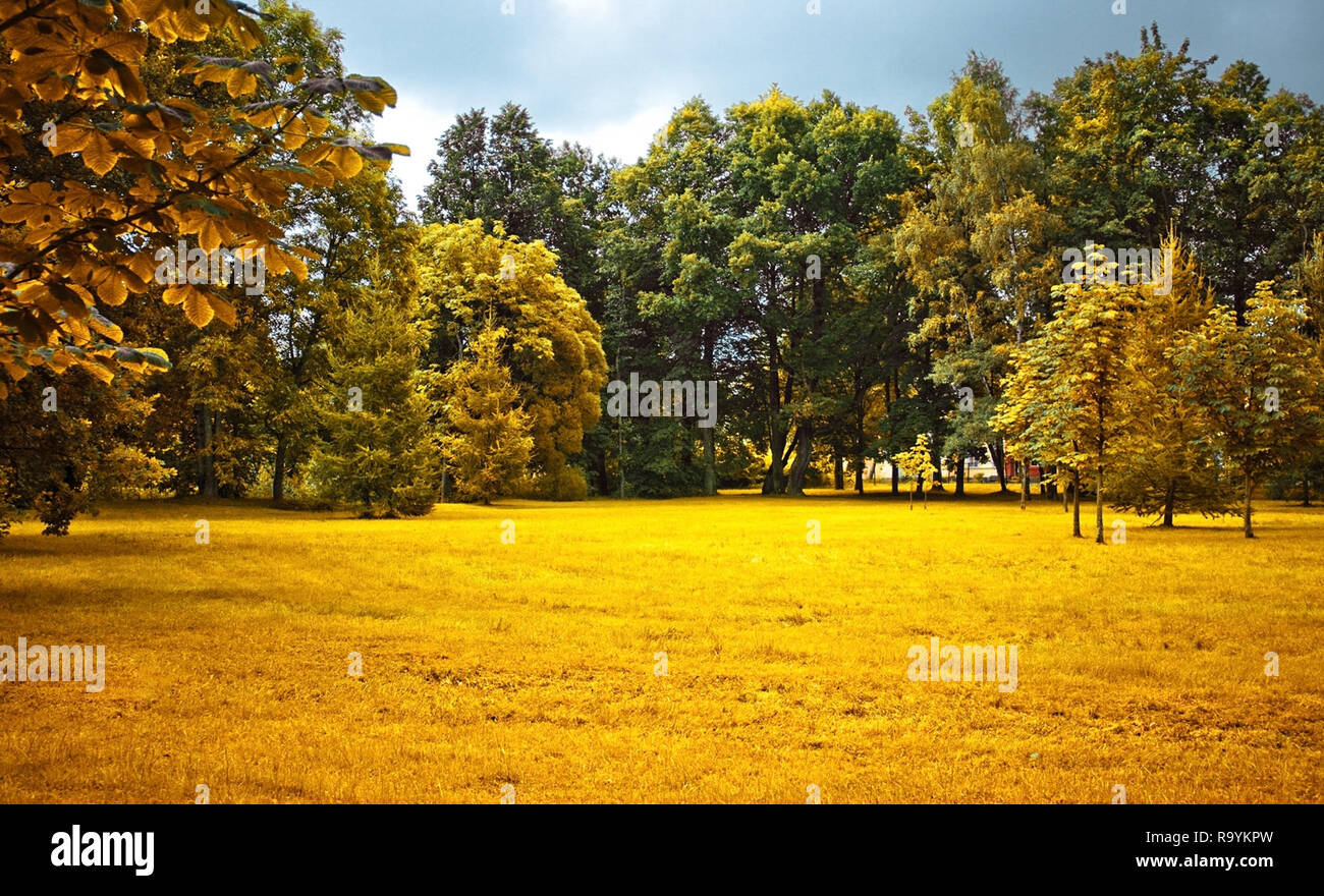 fall scenery, beauty of autumn - nature and environment concept ...