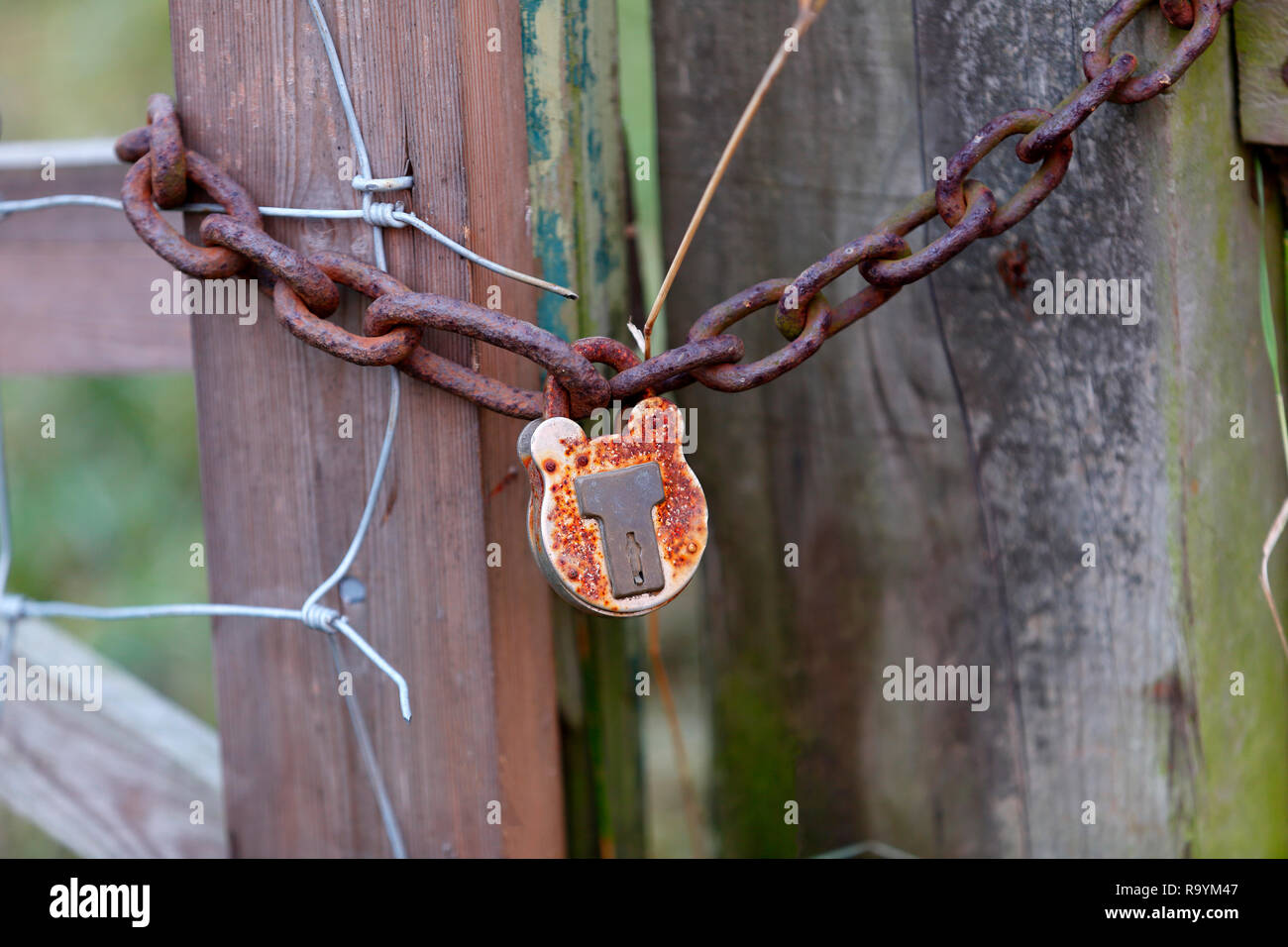 A fastened rusty chain and lock fastened to a gate and post Stock Photo ...