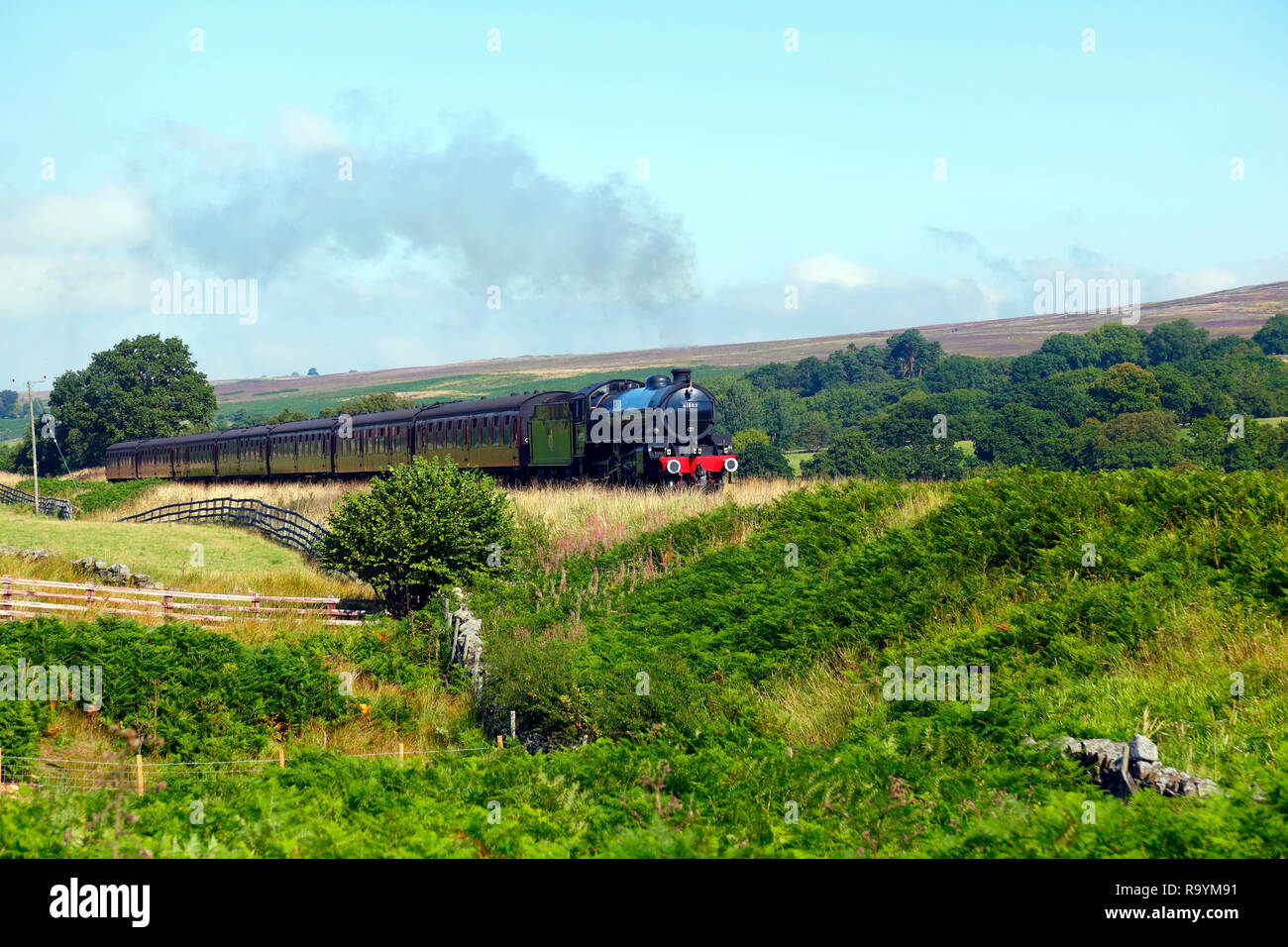 The Moors Explorer Steam Locomotive on the North Yorkshire Moors ...