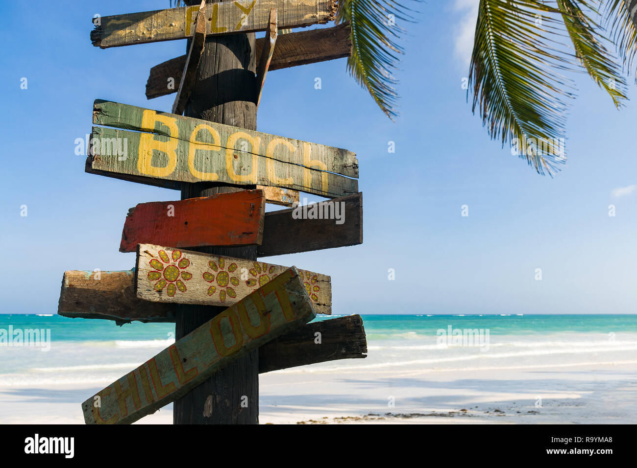 A signpost with Beach written on it with tropical beach and ocean in ...