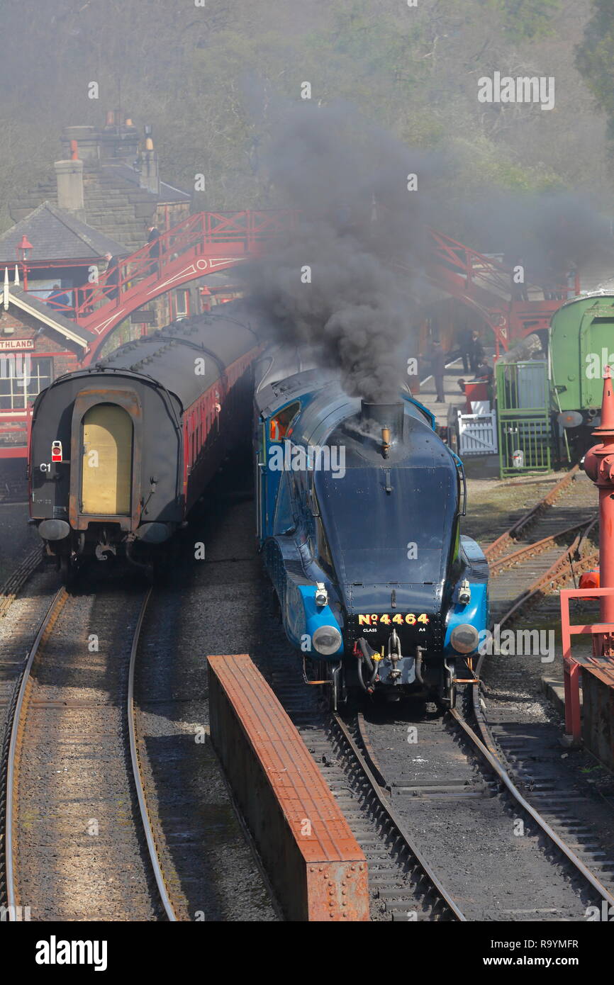The Bittern Steam Locomotive 4464 on the North Yorkshire Moors Railway ...