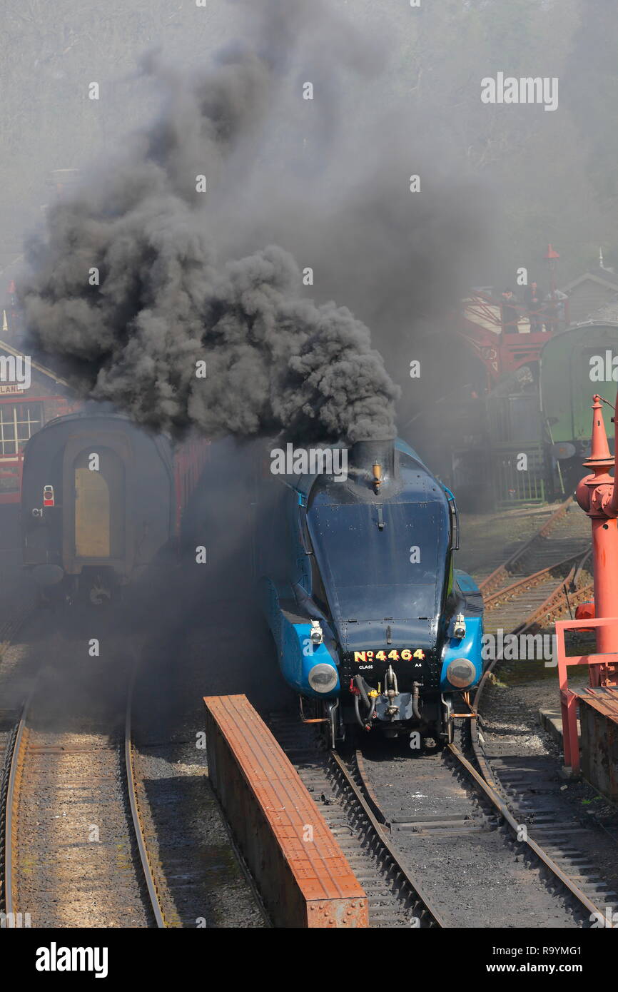 The Bittern Steam Locomotive 4464 on the North Yorkshire Moors Railway ...