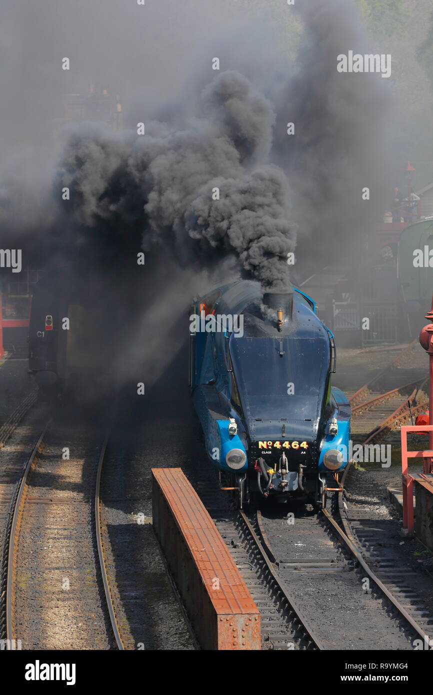 The Bittern Steam Locomotive 4464 on the North Yorkshire Moors Railway ...
