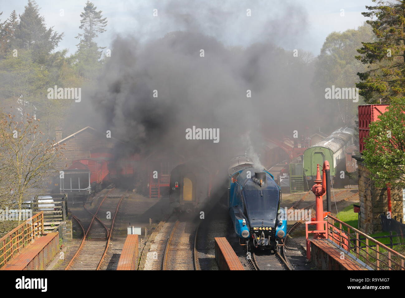 The Bittern Steam Locomotive 4464 on the North Yorkshire Moors Railway ...