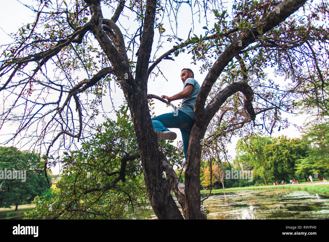 Guy Climbing Tree High Resolution Stock Photography and Images - Alamy