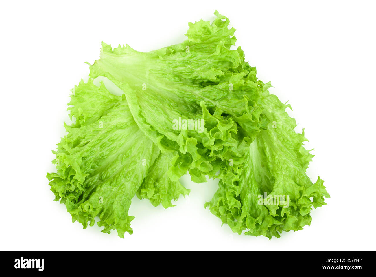 Lettuce background hi-res stock photography and images - Alamy