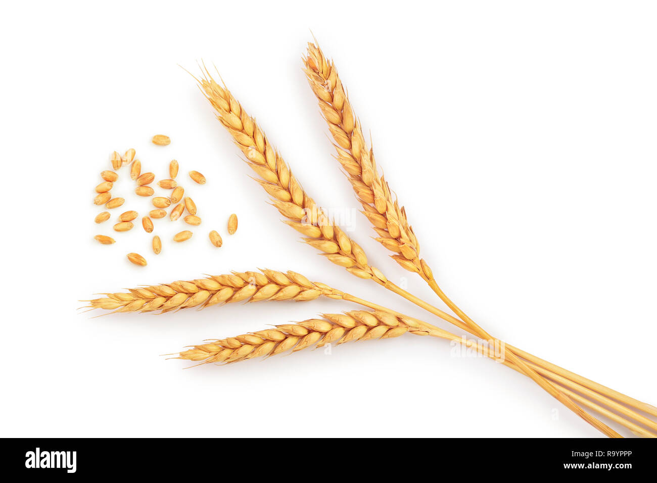 grain and ears of wheat isolated on white background. Top view Stock ...