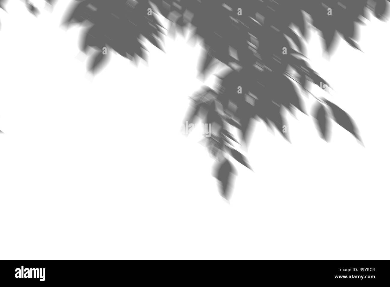Branch shadow background hi-res stock photography and images - Alamy