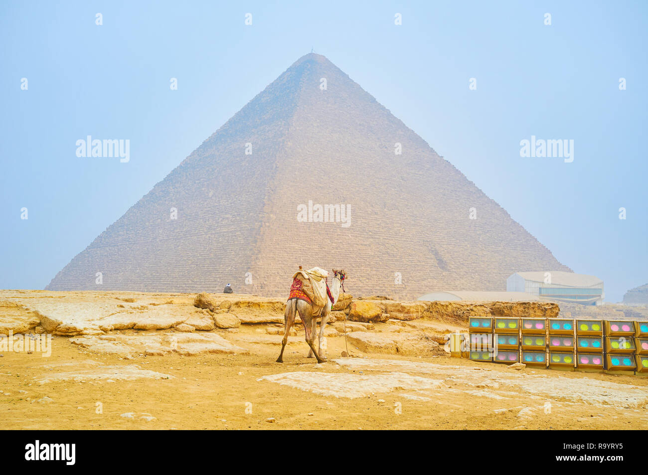 The lonely camel stands at the lighting equipment for the night show ...