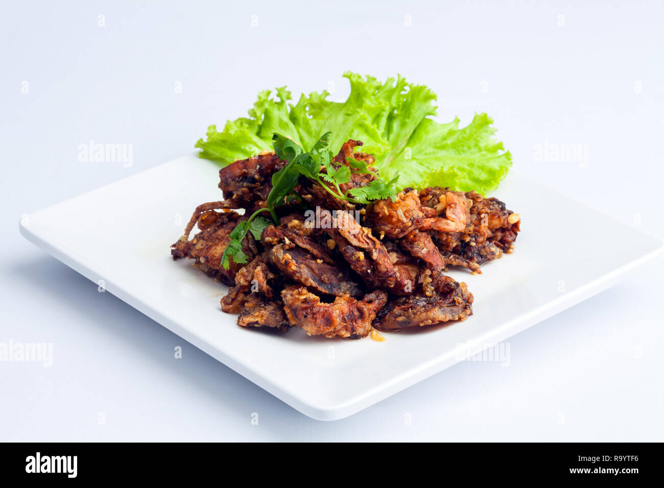 Cuisine and Food, Traditional Deep Fried Salty Squid or Octopus Made of ...