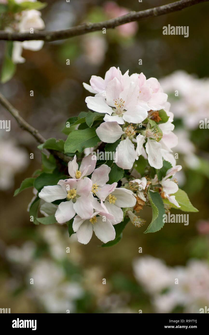 Outdoors wild places hi-res stock photography and images - Alamy