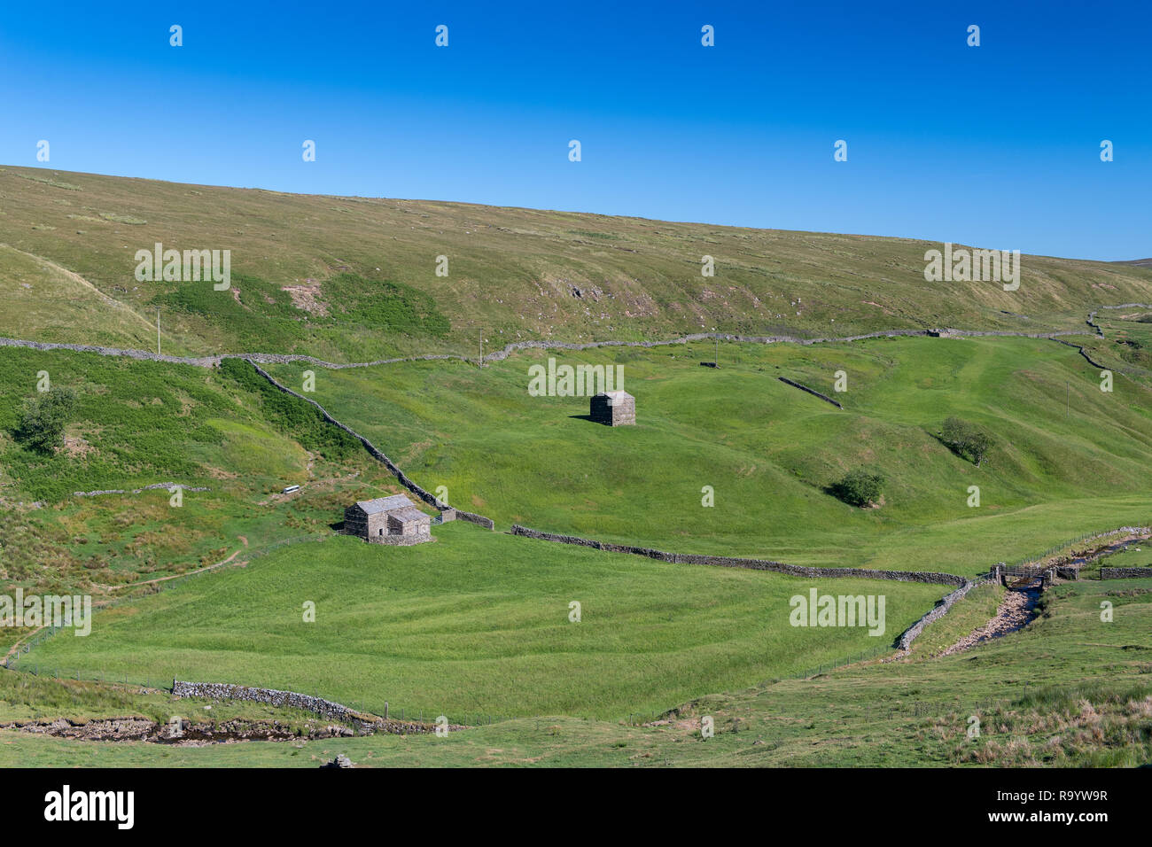 Upland meadows in Swaledale, North Yorkshire, UK Stock Photo - Alamy