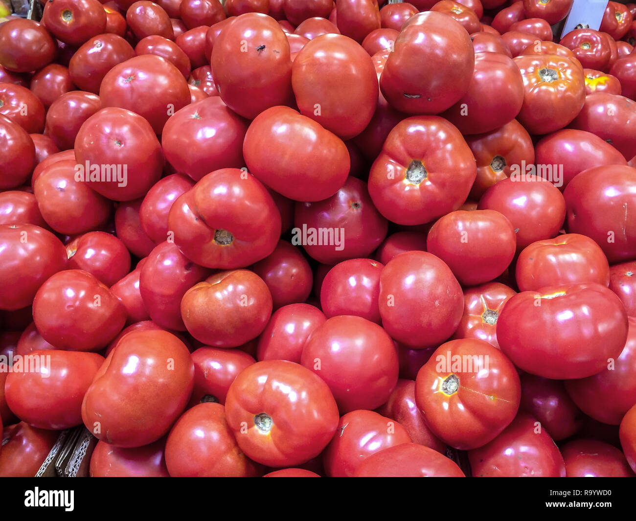 Big juicy tomatoes hi-res stock photography and images - Alamy