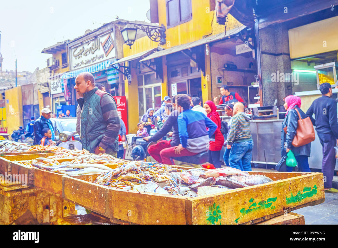 Grocery store in cairo hi-res stock photography and images - Alamy