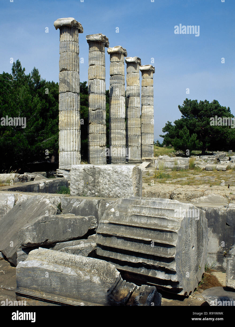 Turkey. Priene. Ancient Greek city of Ionia. The Temple of Athena, founded by Alexander the ...
