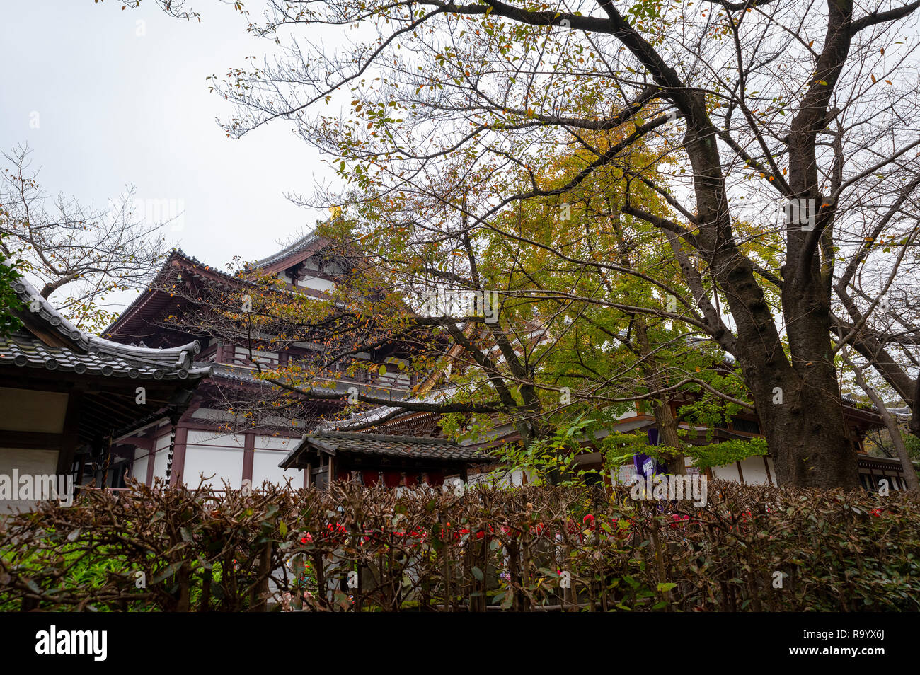 Zojo Ji Temple, Tokyo, Japan Stock Photo - Alamy