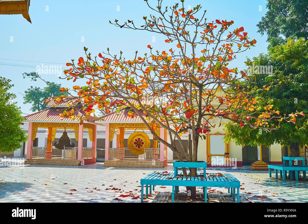 The scenicred leaf tree in garden of Kaunghmudaw Pagoda, with a view on ...