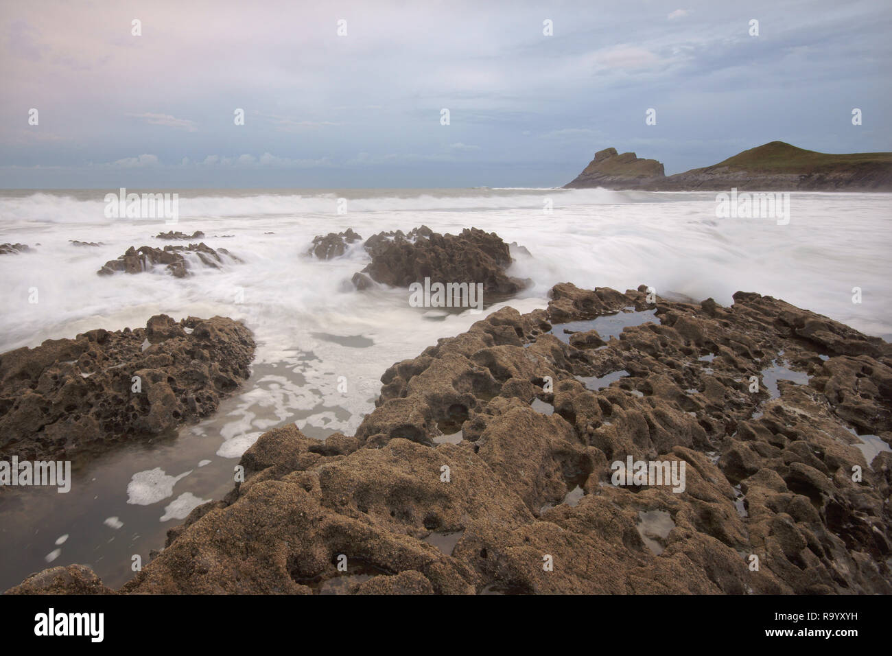Uk worms hi-res stock photography and images - Alamy