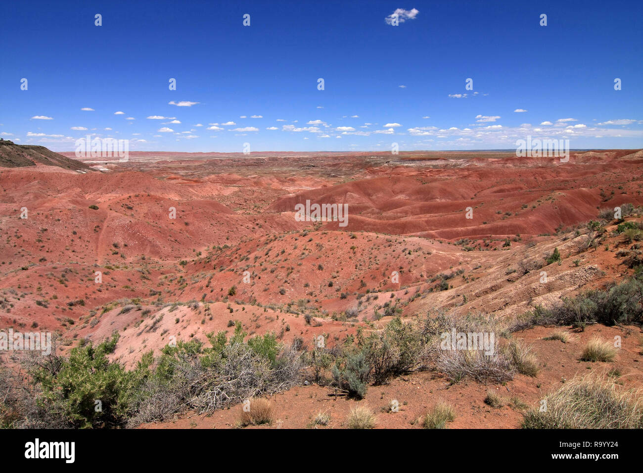 The Painted Desert, Petrified Forest National Park, Arizona, under a ...